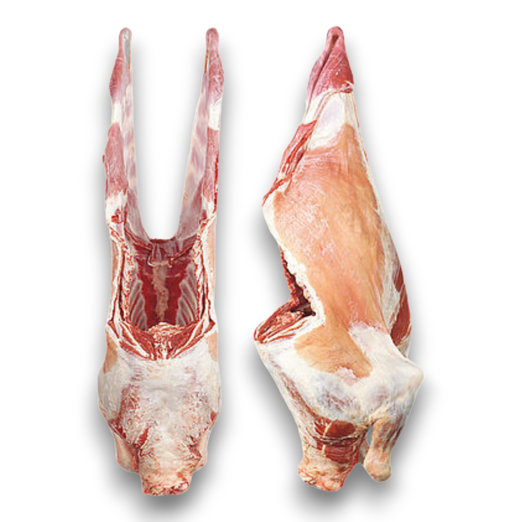 Bárány Eleje – EfendiFood